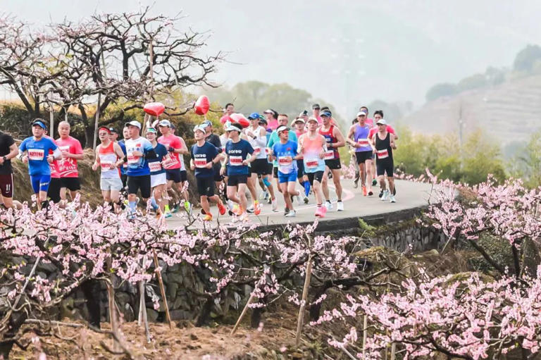 交通管制！临时管控！