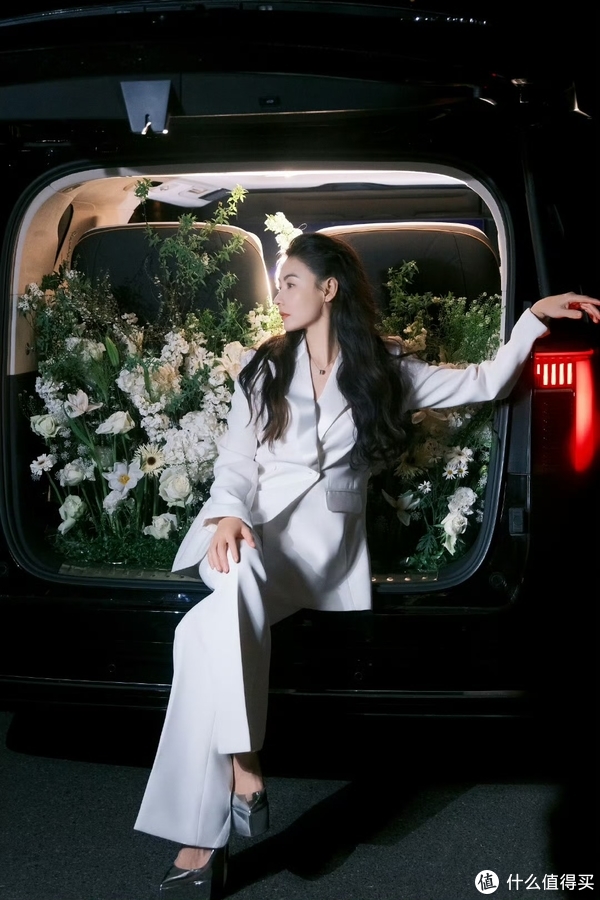 被极氪009光辉震撼到！