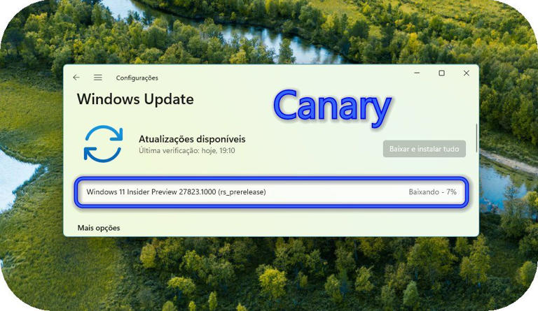 微软 Win11 Canary 27823 预览版发布：设置引入系统信息卡片