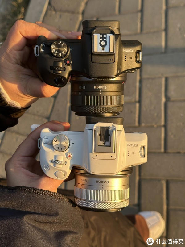 佳能 R50 vs R100 深度对比：新手入门相机