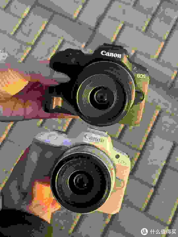佳能 R50 vs R100 深度对比：新手入门相机