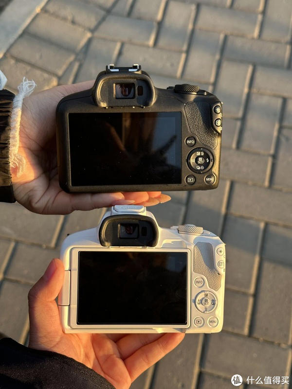 佳能 R50 vs R100 深度对比：新手入门相机