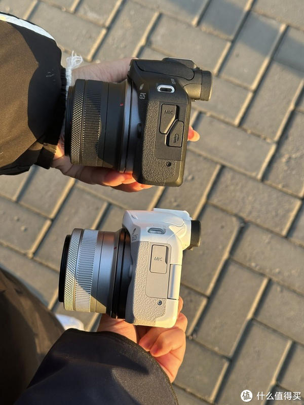 佳能 R50 vs R100 深度对比：新手入门相机