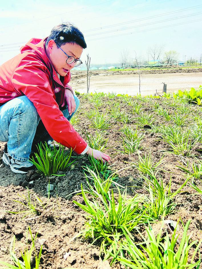 为老种子“存档”的“新农人”