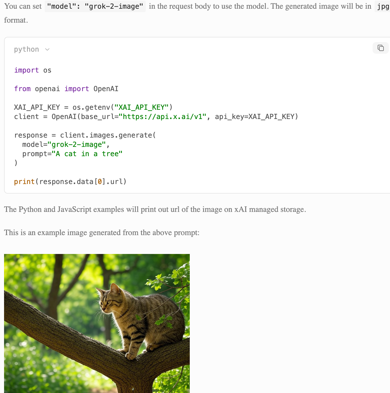 xAI 推出用于生成图像的 API