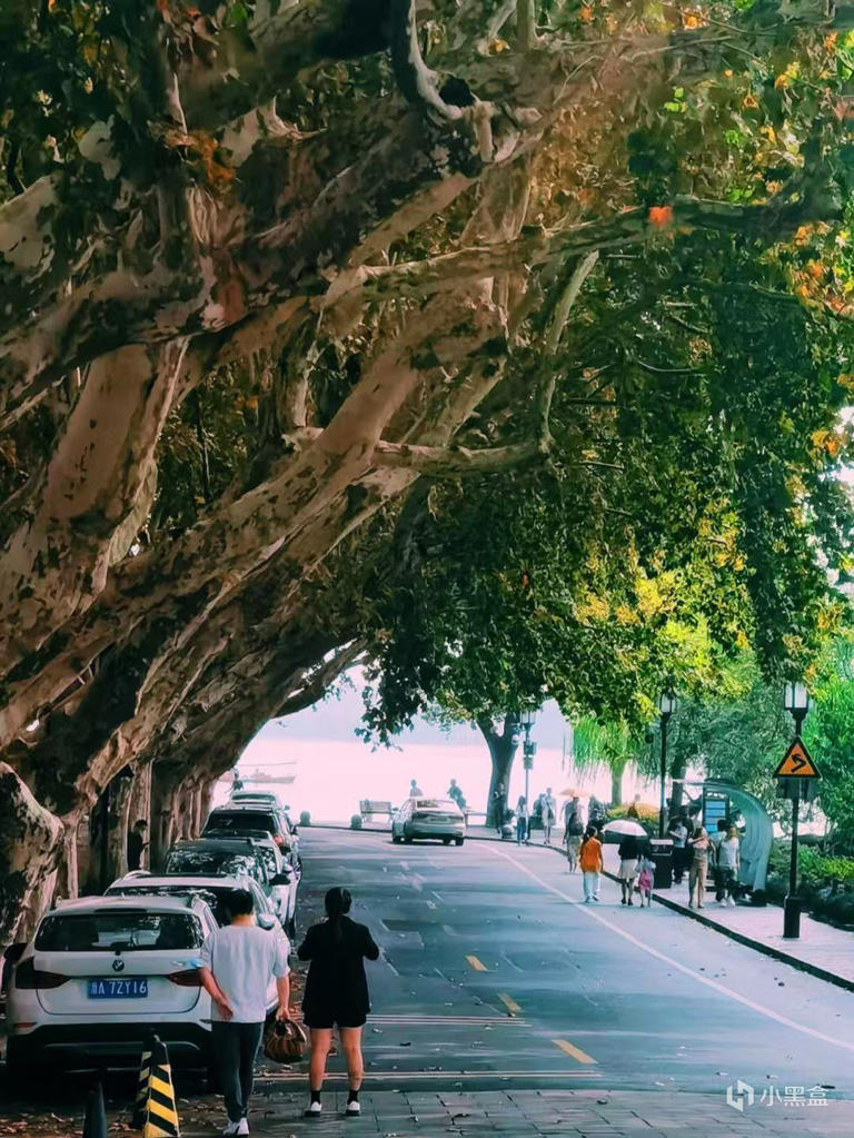 【OW杭州MAJOR】杭州不完全观赛（逛吃）指北