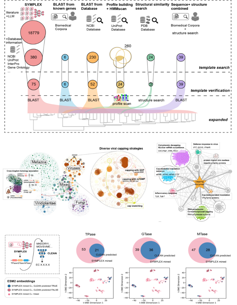 我国团队研发，全球首个基因挖掘大模型 SYMPLEX 问世