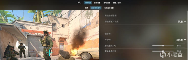 【CS2】详细解释CS2几十项游戏设置，从小白到巨佬