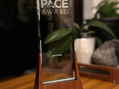 Aurobay极光湾混动系统荣获PACE大奖，彰显中国动力技术创新实力！