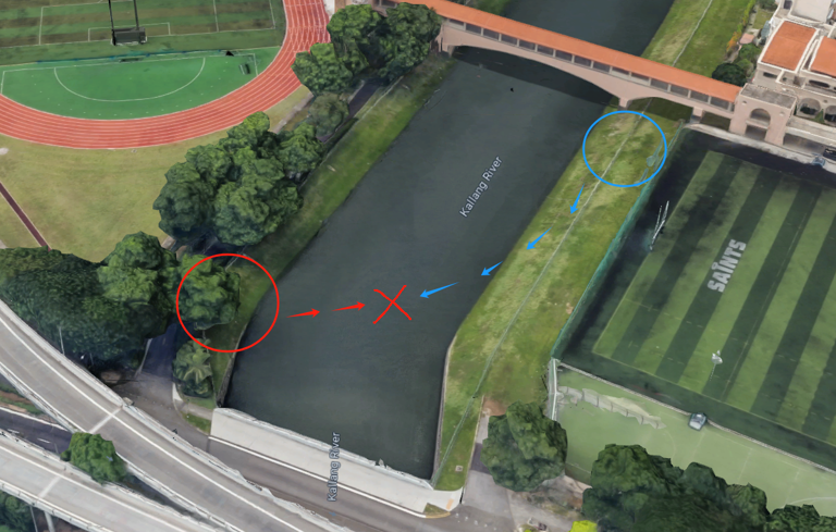 新加坡水獭大规模「黑帮火并」持续爆发十多年，这么可爱的动物，战斗力为什么如此爆表？