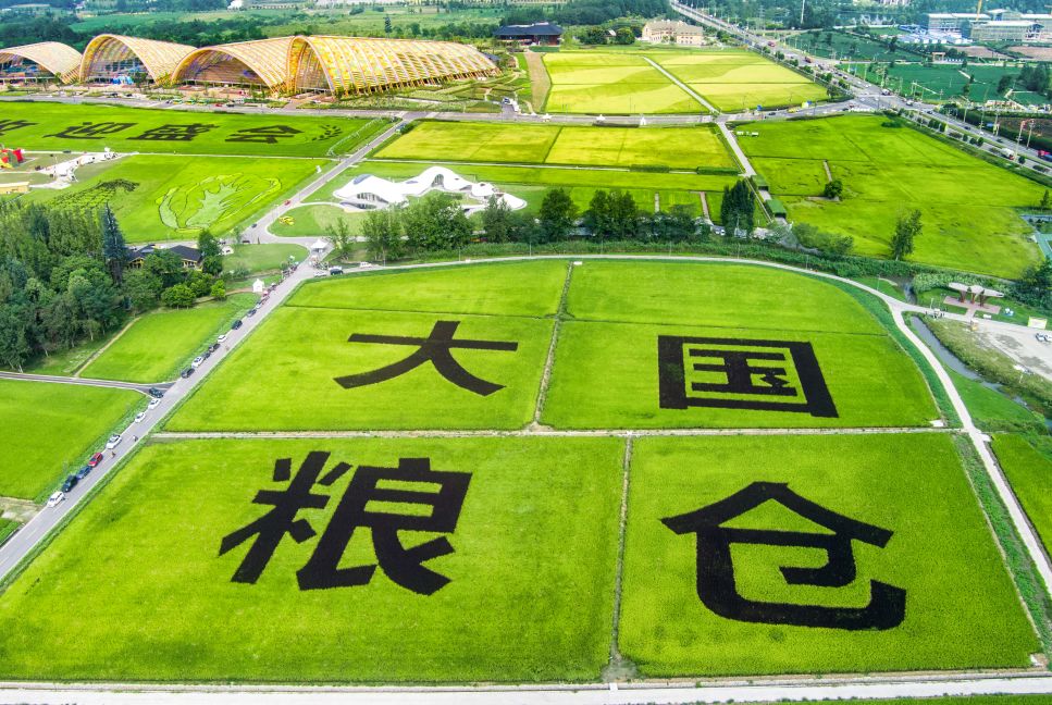 大地为幕，彩稻作笔