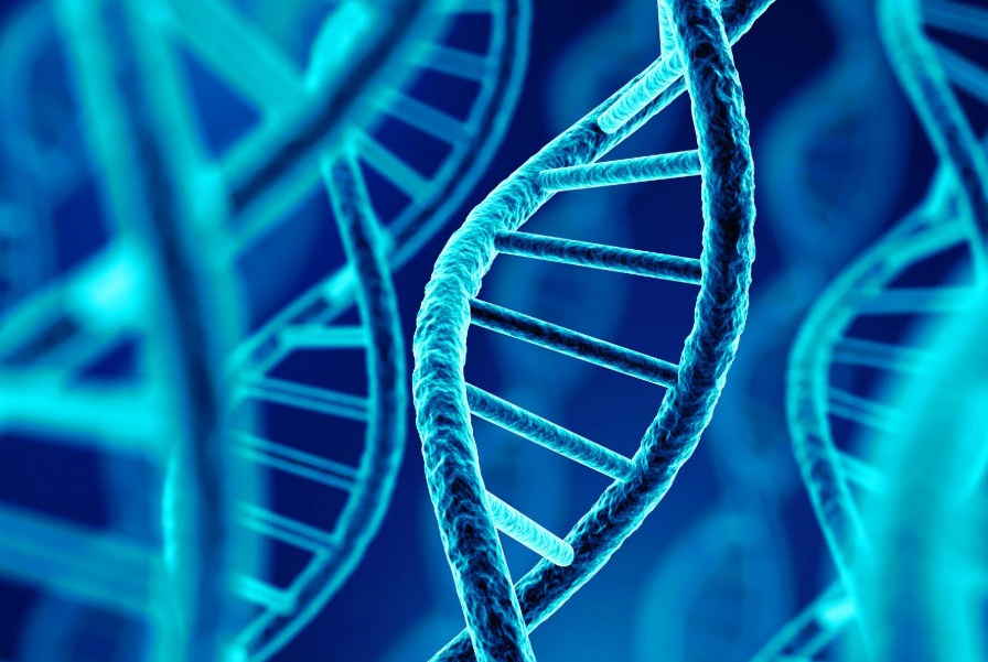 人类基因组变化速度远超以往认知，迄今最全面跨代遗传变化图谱绘成