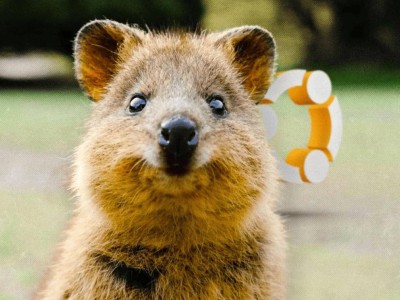 Ubuntu 25.10 "Questing Quokka" 每日构建版上线，邀你共测新特性