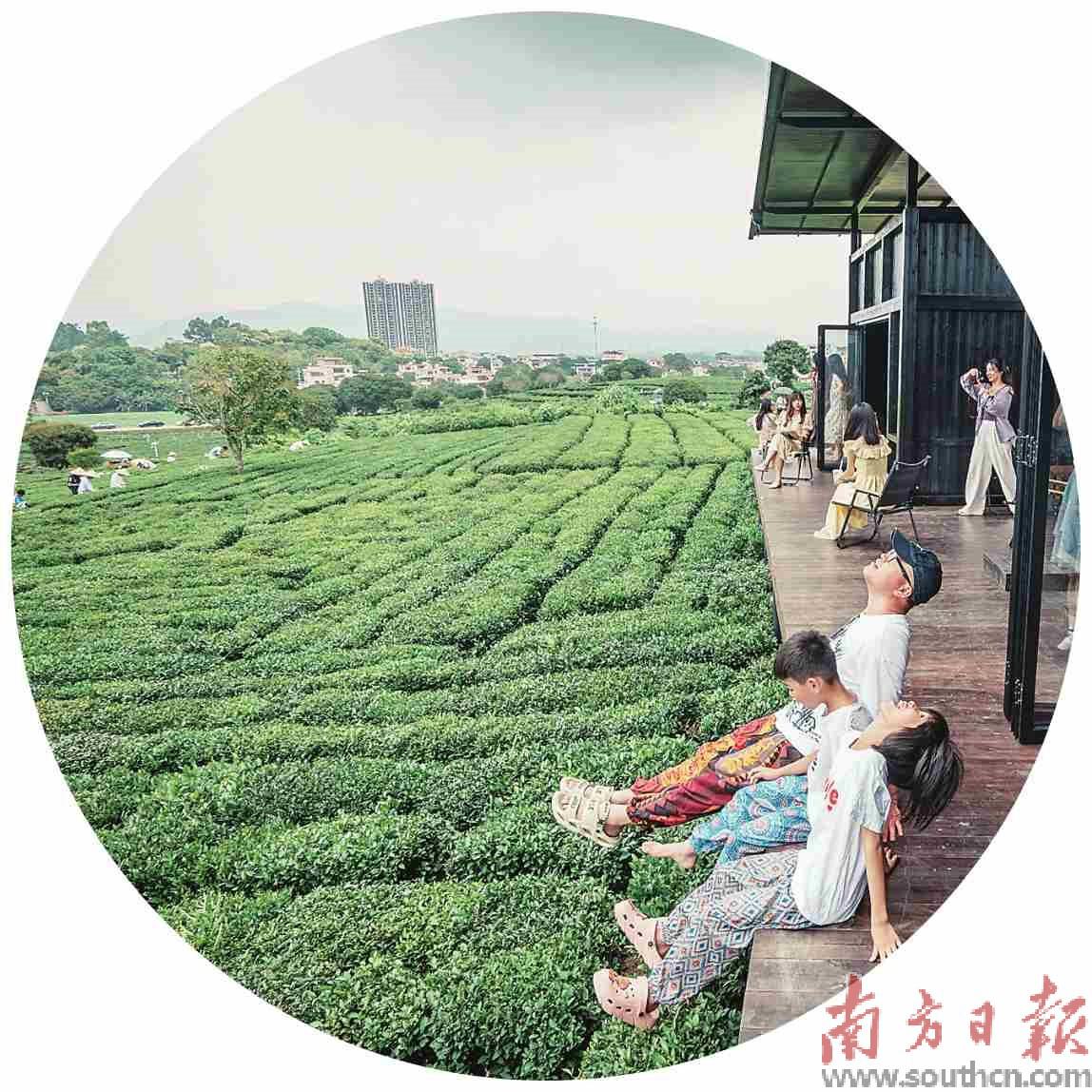 “茶+咖啡”改写流量密码