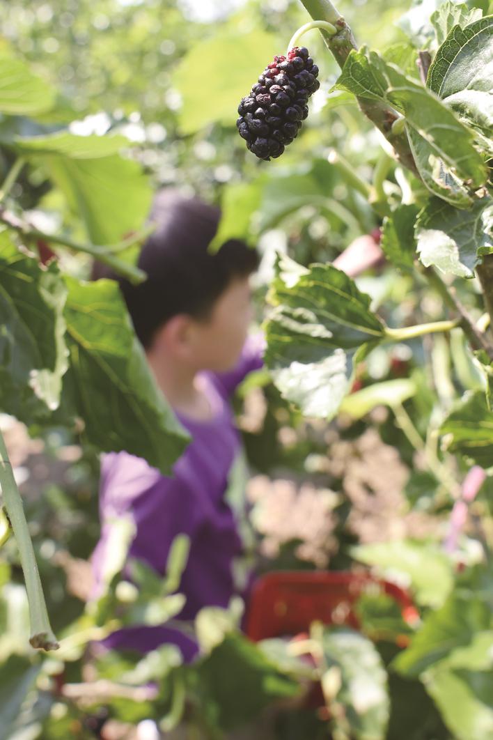 绝绝“紫” 就爱这爆汁的甜味