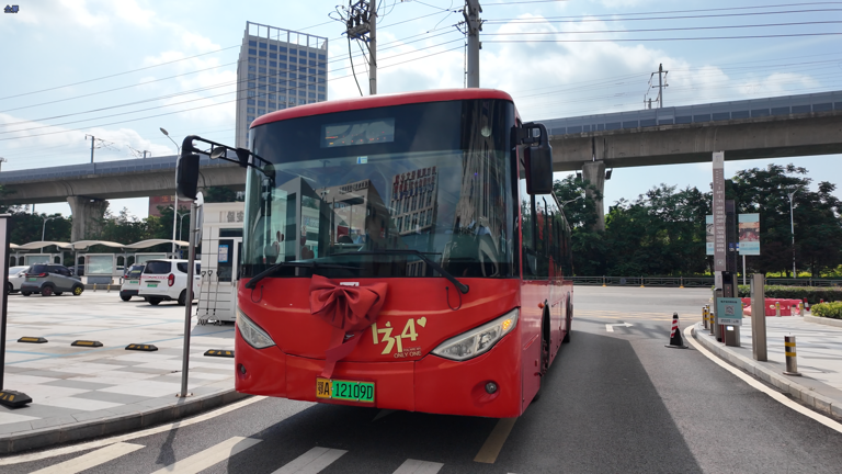 武汉“520-1314”编号公交车接送近20对情侣领证，520路公交车系上蝴蝶结