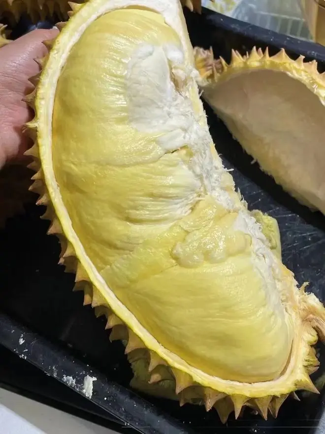 泰国榴莲什么时候成熟？快来看看！