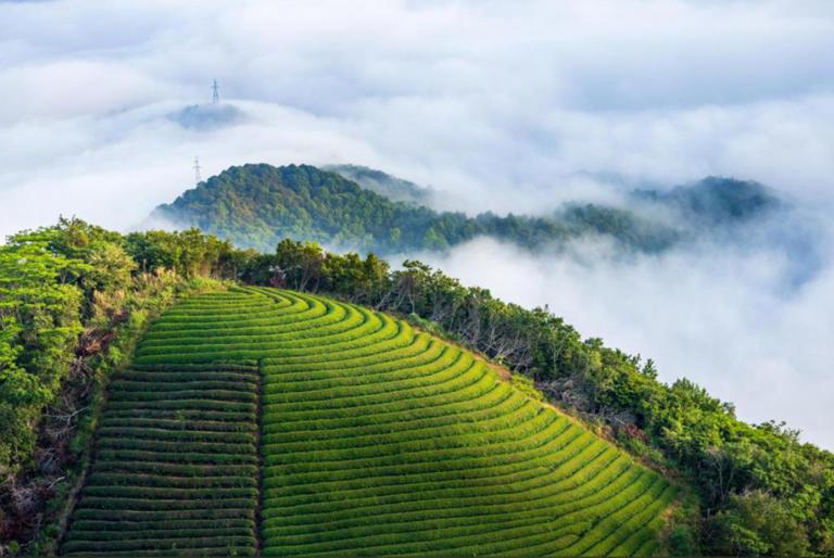 第3届SCMG摄影大赛 #042