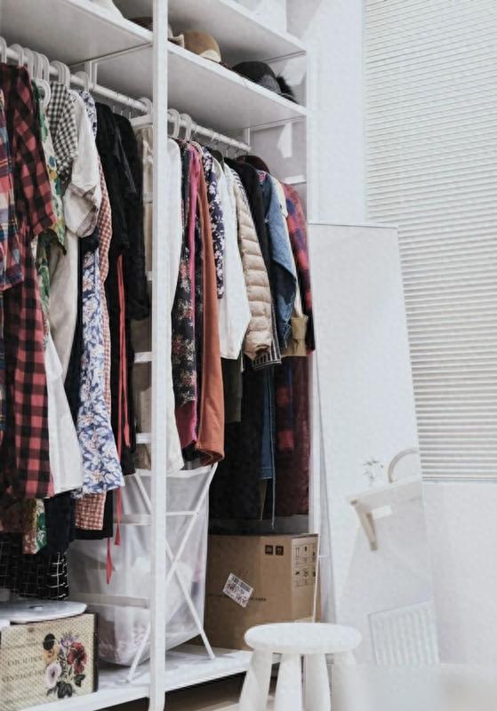 湖北阿姨独居150㎡大房子，“极简”装修客厅空无一物