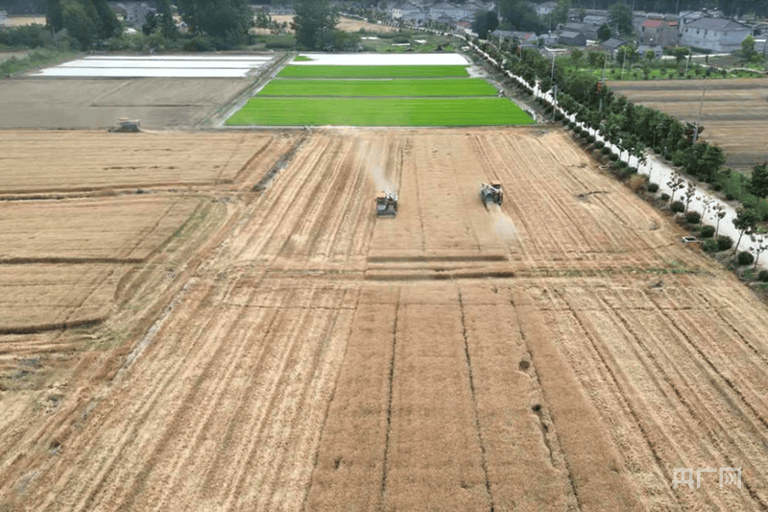 智能科技赋能“三夏” 农机北斗共绘丰收新画卷