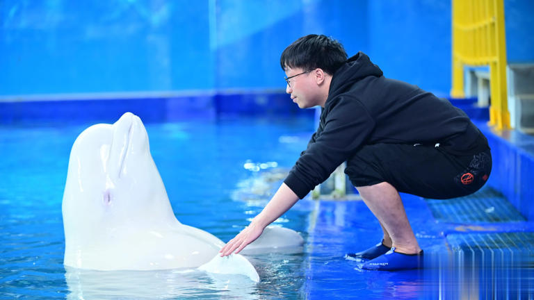 带三队四征MSI最差亚军，Tabe缔造LPL教练传奇