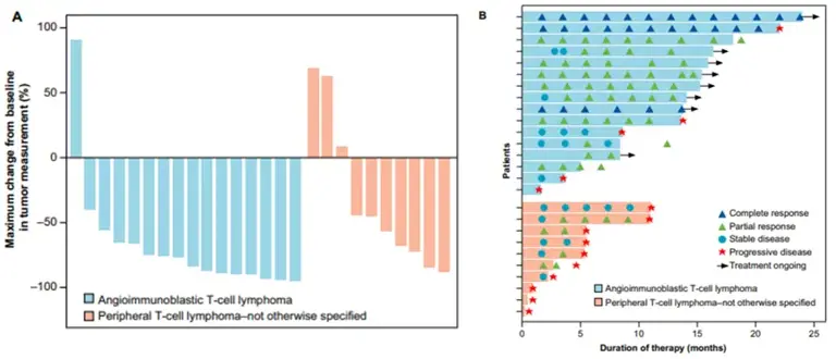 2025 EHA口头 | 恒瑞创新药EZH2抑制剂SHR2554在复发/难治性外周T细胞淋巴瘤中的关键研究结果公布