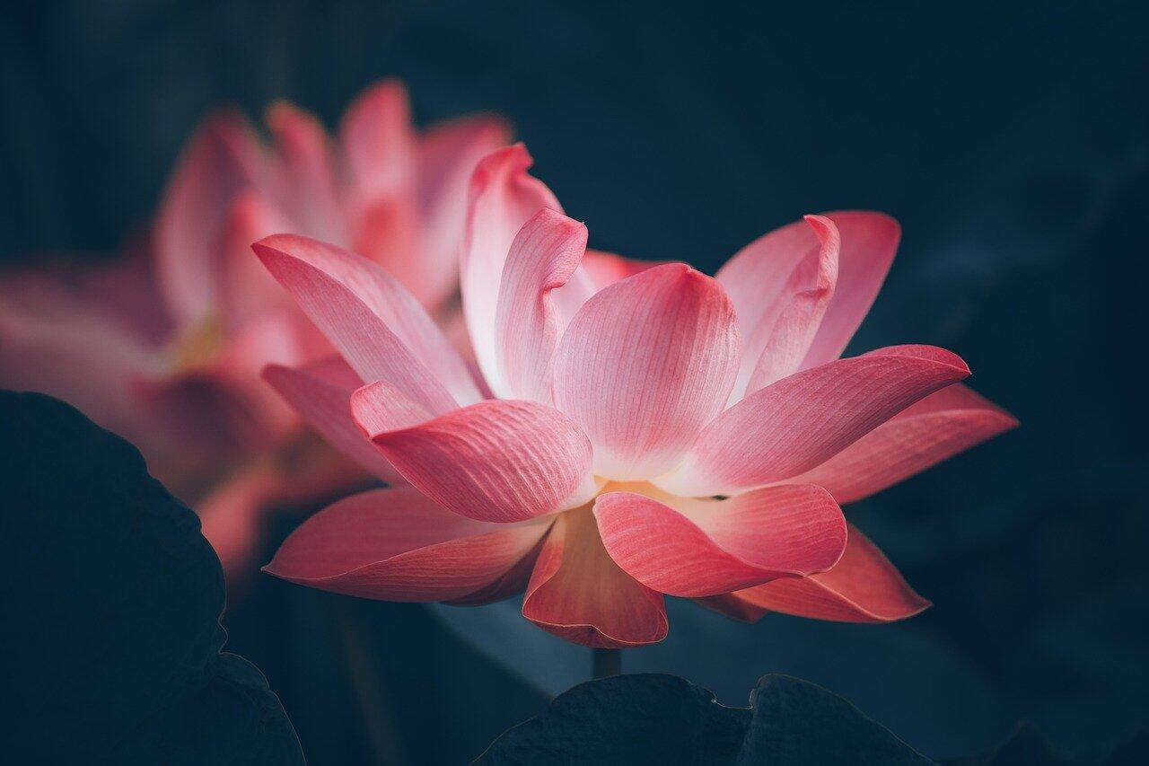 百度文库网盘发布GenFlow2.0，支持同时调用超100个专家智能体