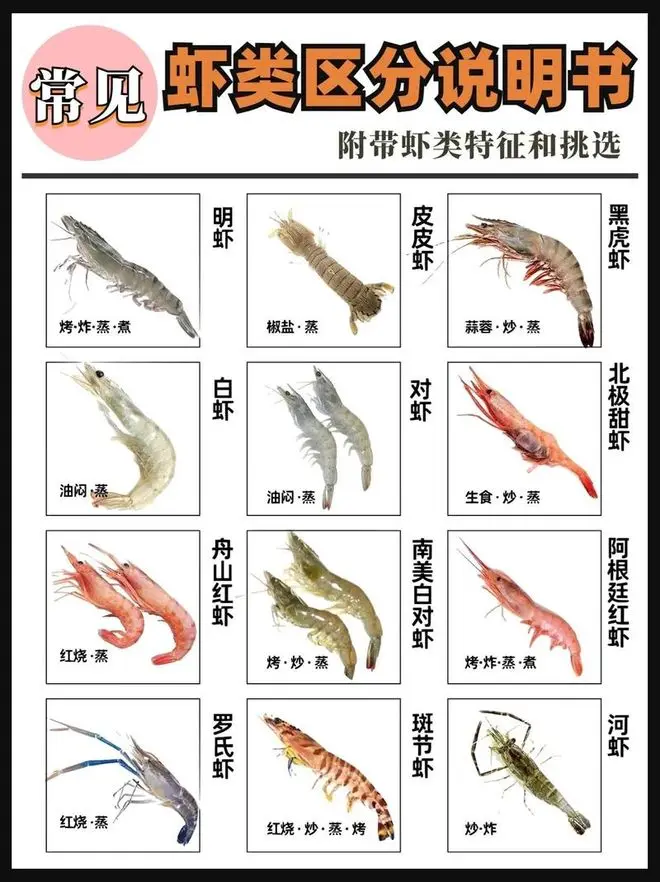 虾有哪些品种？一文告诉你！