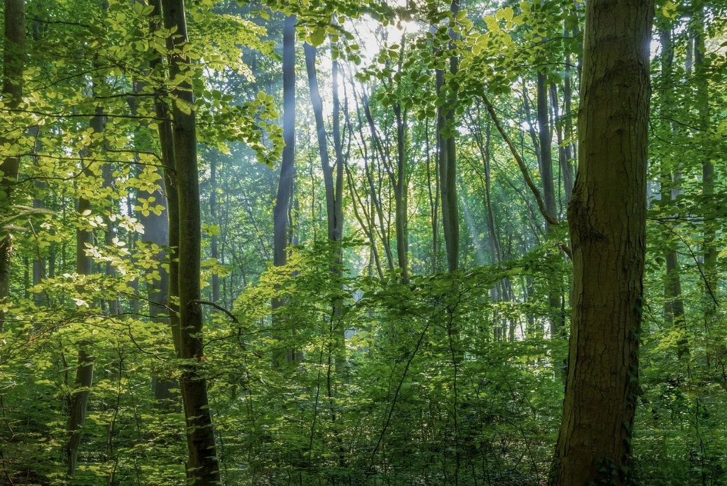 新的开源工具Subtrace为容器环境带来网络分析功能