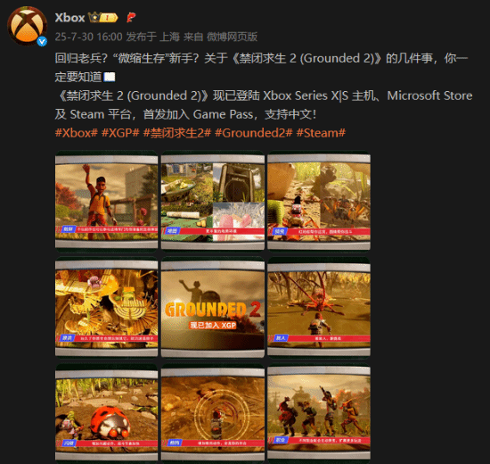 Steam好评佳作现已抢先体验！首发加入XGP！