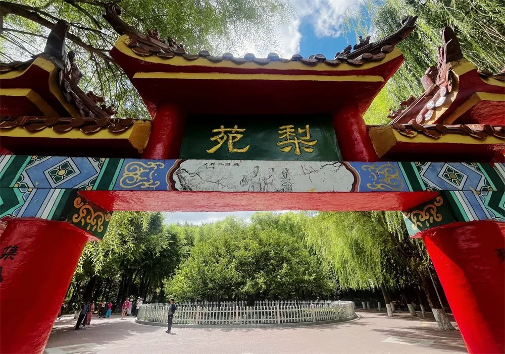 春华秋实的故事写了139年！哈尔滨古梨园百年老树悄然结果