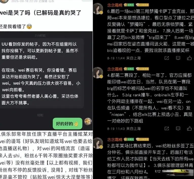 IG战胜BLG后，Wei在后台痛哭，网友曝光BLG针对Wei的8大事件