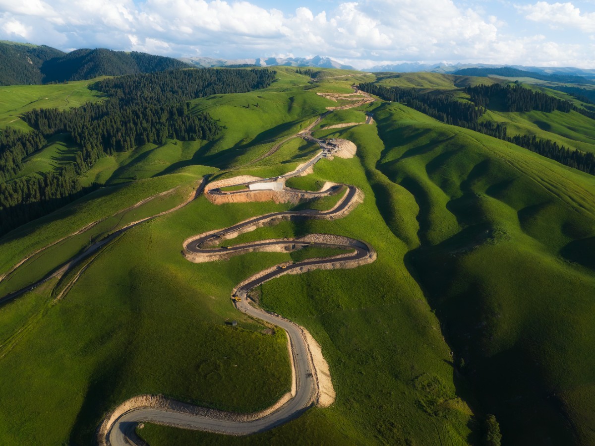 西北“绿色卫士”有多绝？