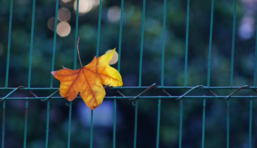 你的容貌，出卖了你的内心