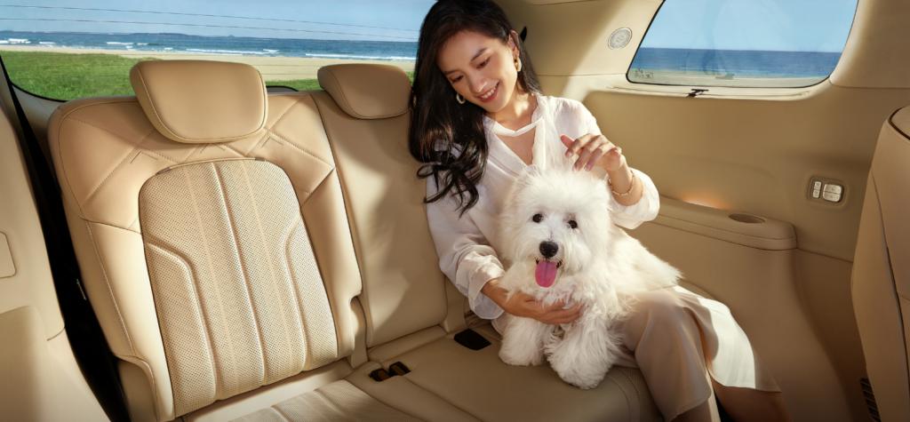 混动MPV时代翻新！2026款岚图梦想家800V+5C超充碾压同级