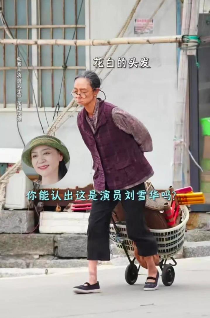 从琼瑶女神到独居老人，刘雪华人生却藏惊人秘密