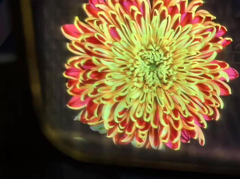 国产Meta平替，50美元目标售价，「灵犀微光」发布二维阵列光波导L2-S30