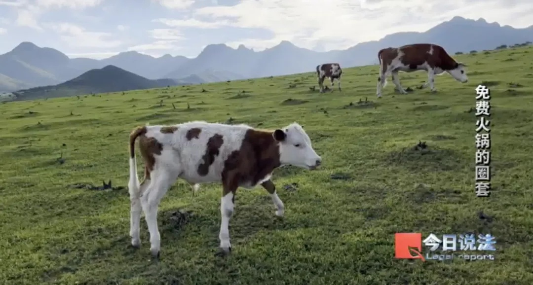 突然闭店！免费火锅只接待老年人，卷走600多人4200万