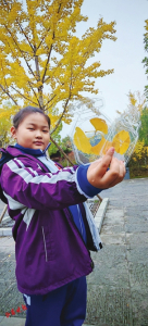 穿梭林间俯身挑选 他们将浓浓秋意带回家