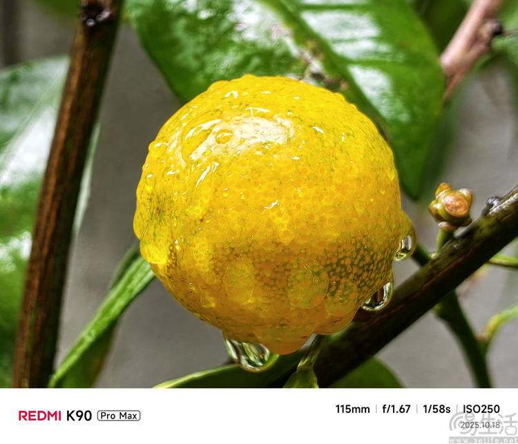 REDMI K90 Pro Max首测：更符合性能玩家喜好的“超大杯”