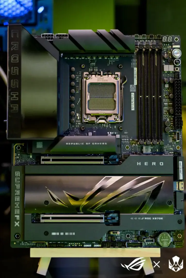 Vitality粉丝见面会嗨翻成都，ROG装备集结，开启电竞新体验