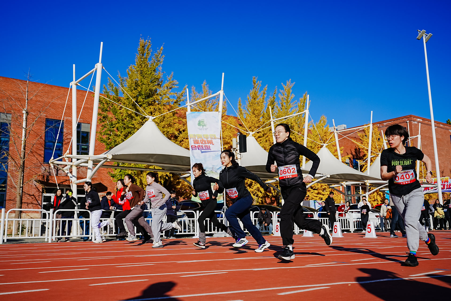 四季青镇第四届运动会举行 76个地区单位参与角逐