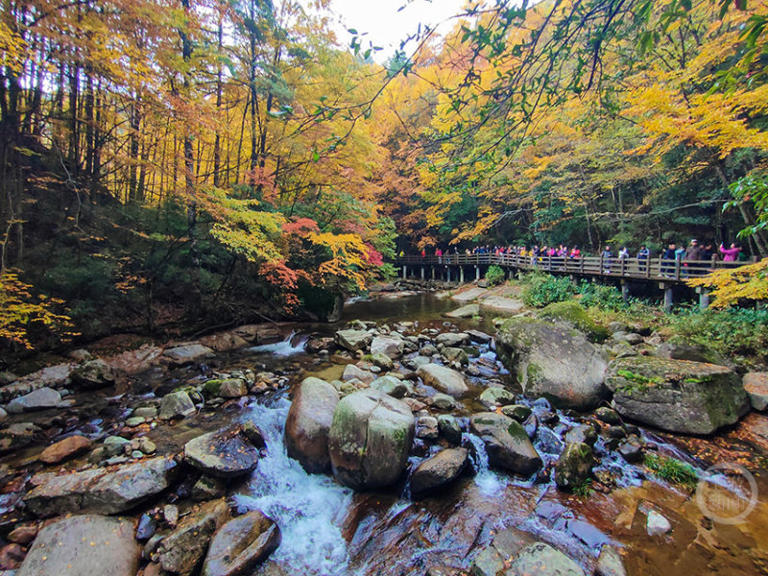 秋韵（515）| 上游主题摄影征稿作品展——杨立安作品