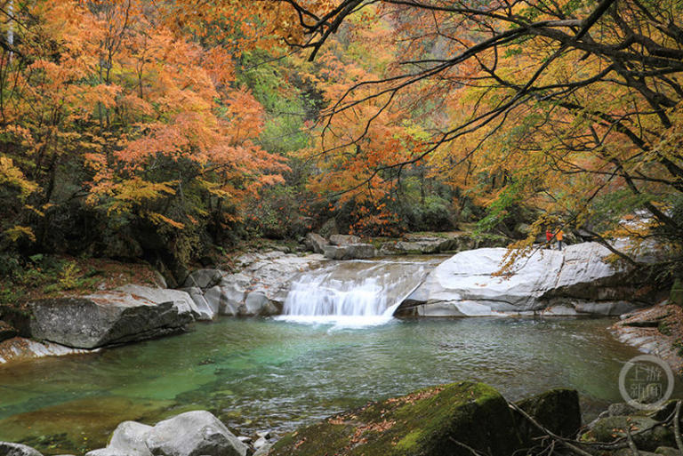 秋韵（515）| 上游主题摄影征稿作品展——杨立安作品