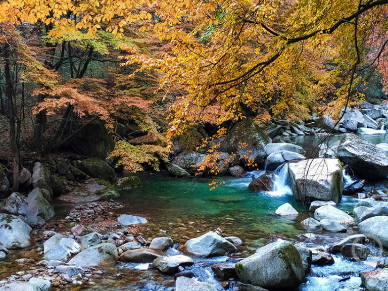 秋韵（515）| 上游主题摄影征稿作品展——杨立安作品