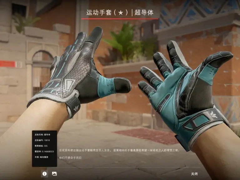 csgo职业哥库存第六十七期-Hooxi