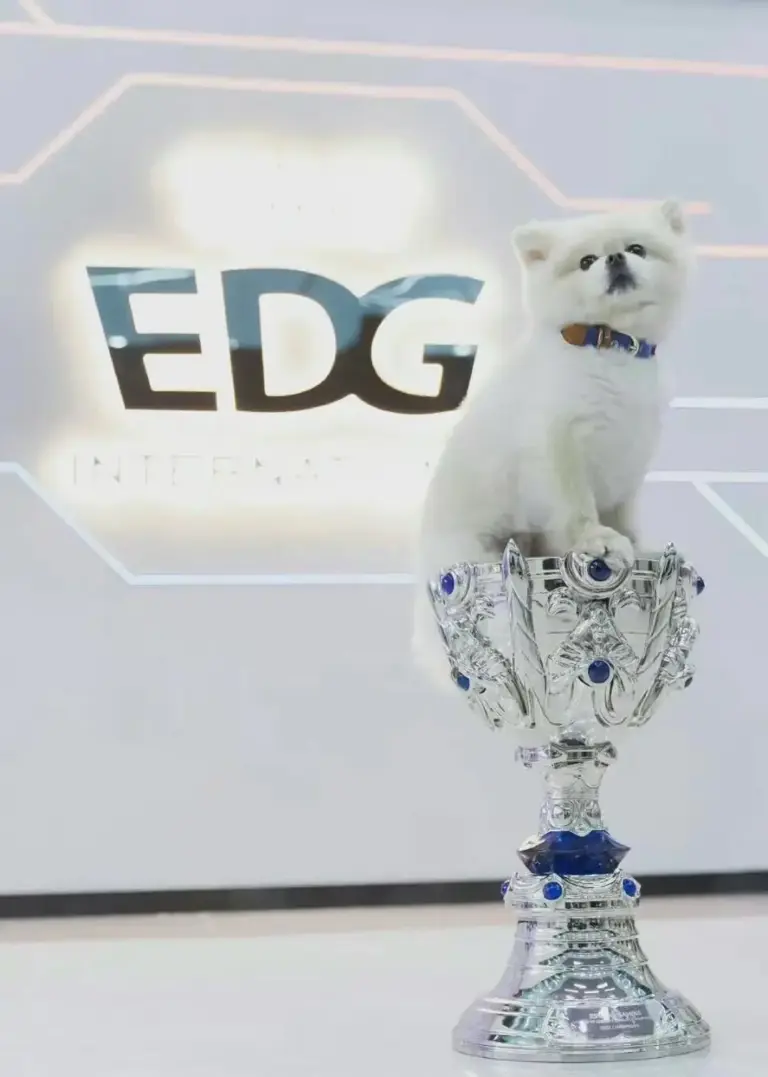 S15紧急更改半决赛，AL、T1拒绝背靠背，EDG团宠去世