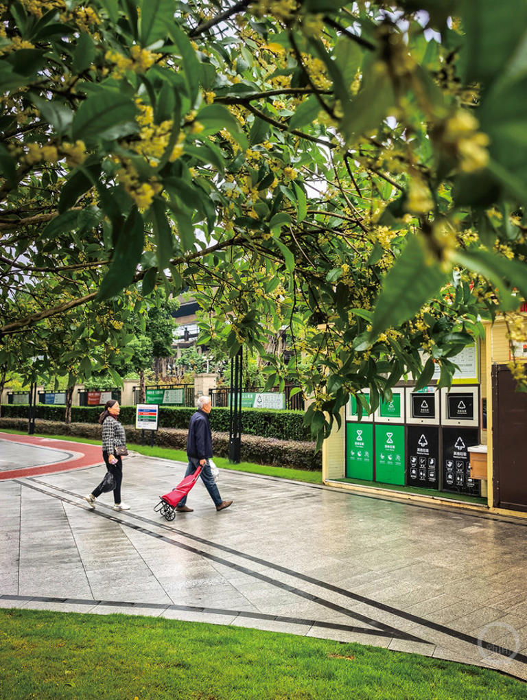 秋韵（467）| 上游主题摄影征稿作品展——罗会斌作品