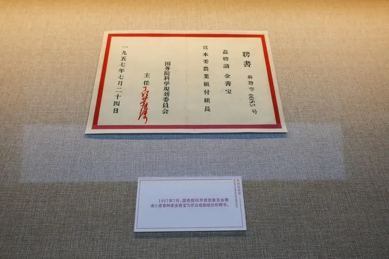 晚潮｜金善宝92岁回乡探亲记