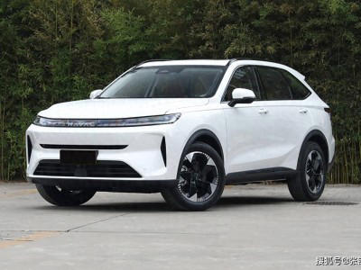 哈弗H6L实车登场：4800mm车长搭配双动力选择，11月即将正式上市